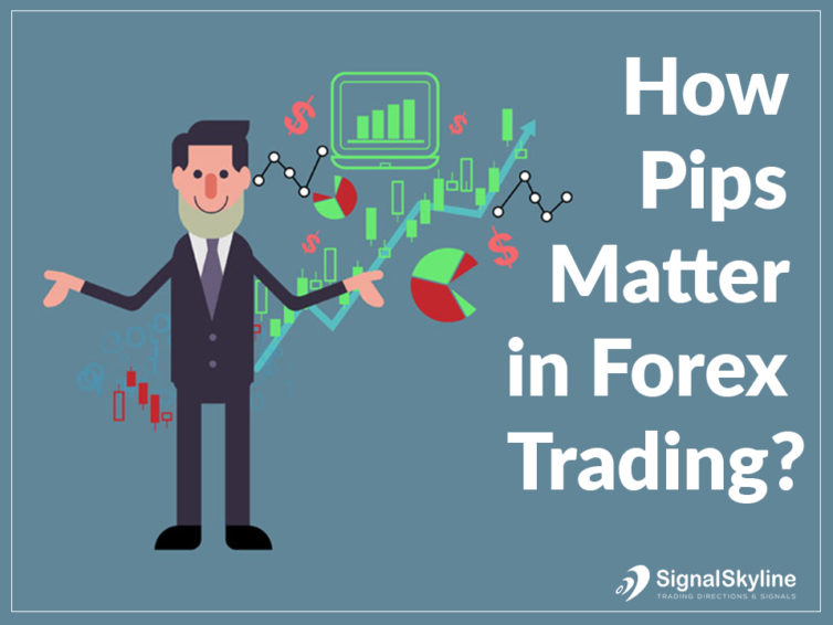 How Pips Matter in Forex Trading? | Signal Skyline