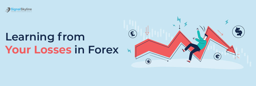Learning from Forex Losses I Trading Tips I Signal Skyline