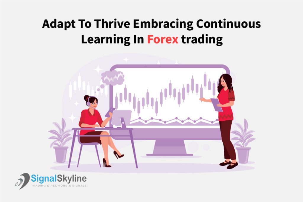 Forex Trading |Risk Management | Signal Skyline | Strategies